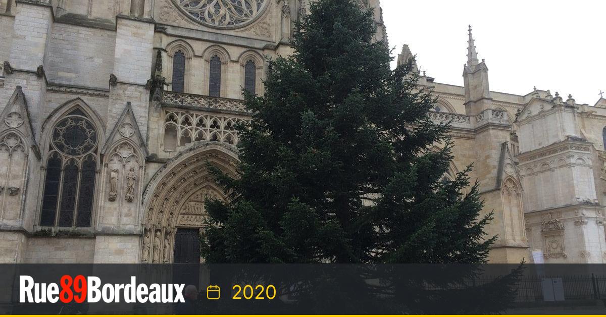 Fin du sapin de Noël à Bordeaux : le maire se fait enguirlander ...