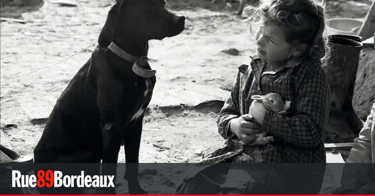 "Vivre le Sud-Ouest" à travers l'œil de François Ducasse - Rue89Bordeaux