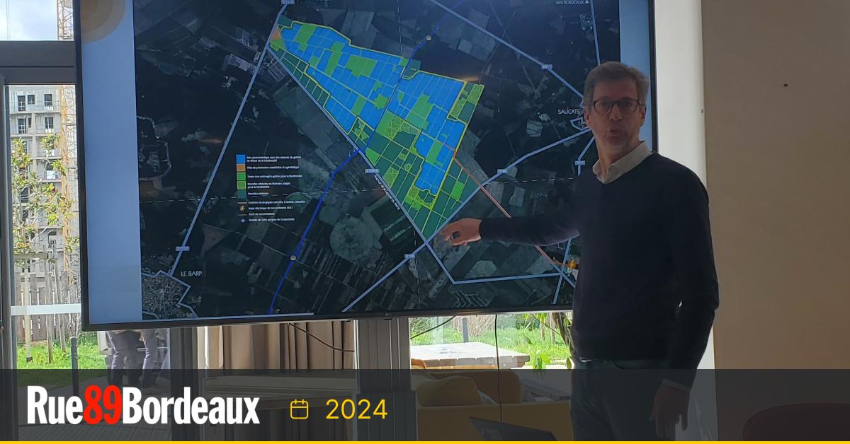 Réduit et "verdi", le projet de parc solaire géant Horizeo entre dans ...