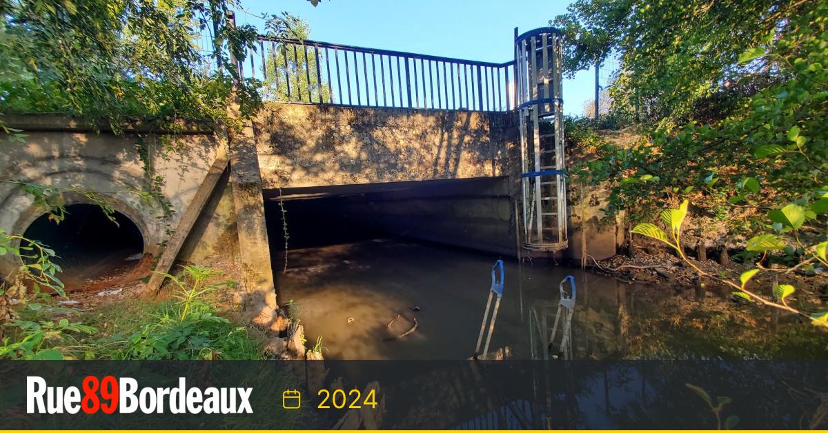 Des rivières bientôt de retour à l'air libre dans la métropole de ...